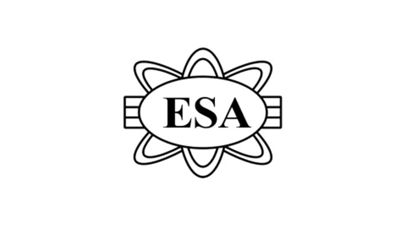 PT Esa Sentosa Abadi Indonesia